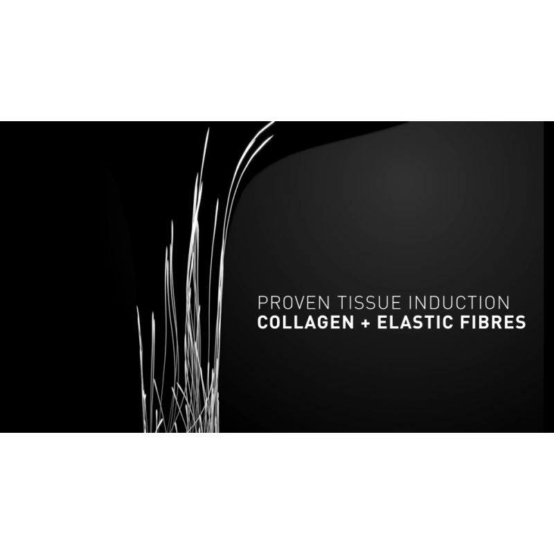 Fillmed Art Filler Lips (2x1ml)